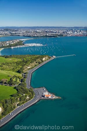 Bastion Point, Auckland, North Island, New Zealand _ aerial