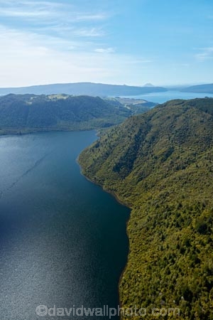 Lake Rotokakahi (Green Lake), native forest, and Lake Tarawera (in ...