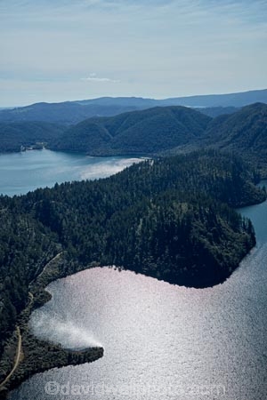 Lake Rotokakahi (Green Lake), native forest, and Lake Tikitapu (Blue ...