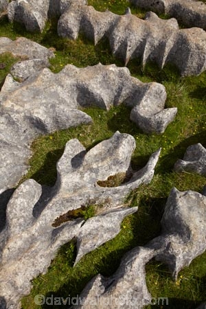 Limestone Pavement, Malham Cove, near Malham Village, Yorkshire Dales ...